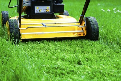 First Spring Lawn Mowing - Lawn Care Coppell